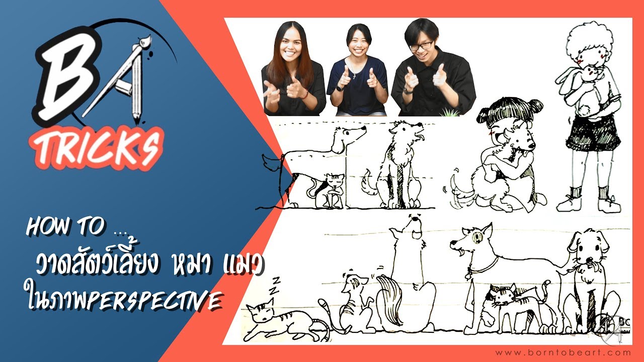 BA tricks : (ep.11) how to วาดสัตว์เลี้ยง หมา แมว ในภาพPERSPECTIVE ...