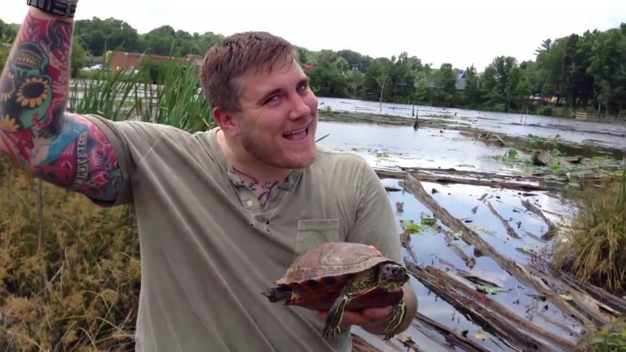 Holy Turtle - YouTube