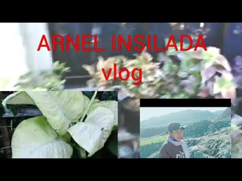 transformation of Inday maring - YouTube