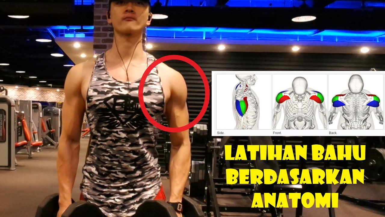 CARA LATIH OTOT BAHU BERDASARKAN ANATOMI - YouTube