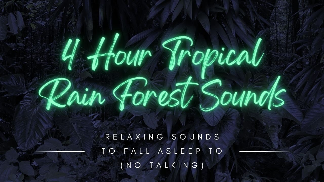 RELAXING SOUNDS TO FALL ASLEEP TO (no talking): 4 Hour Tropical Rain ...