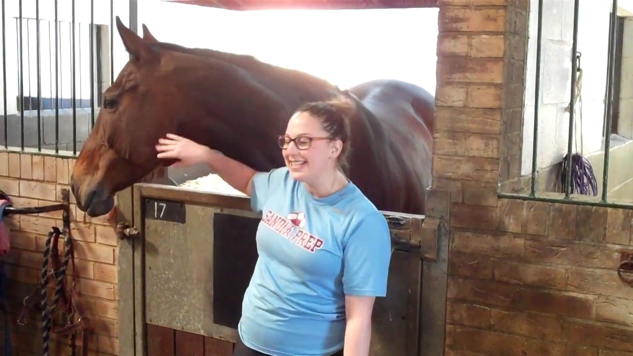 Heather - Veterinary Medicine Student at The Royal (Dick) School of ...