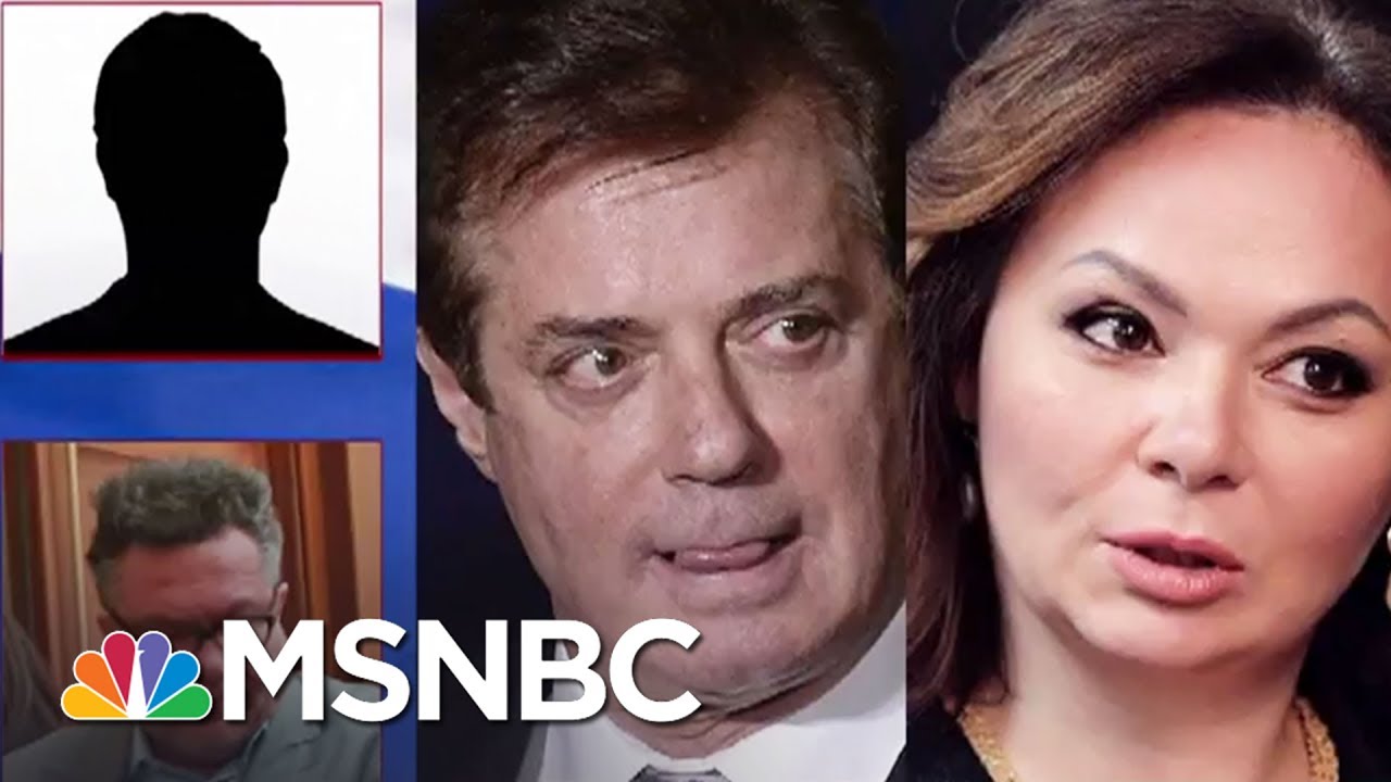 Ken Vogel Confirms Translator Was Sixth Person In Donald Trump Jr ...