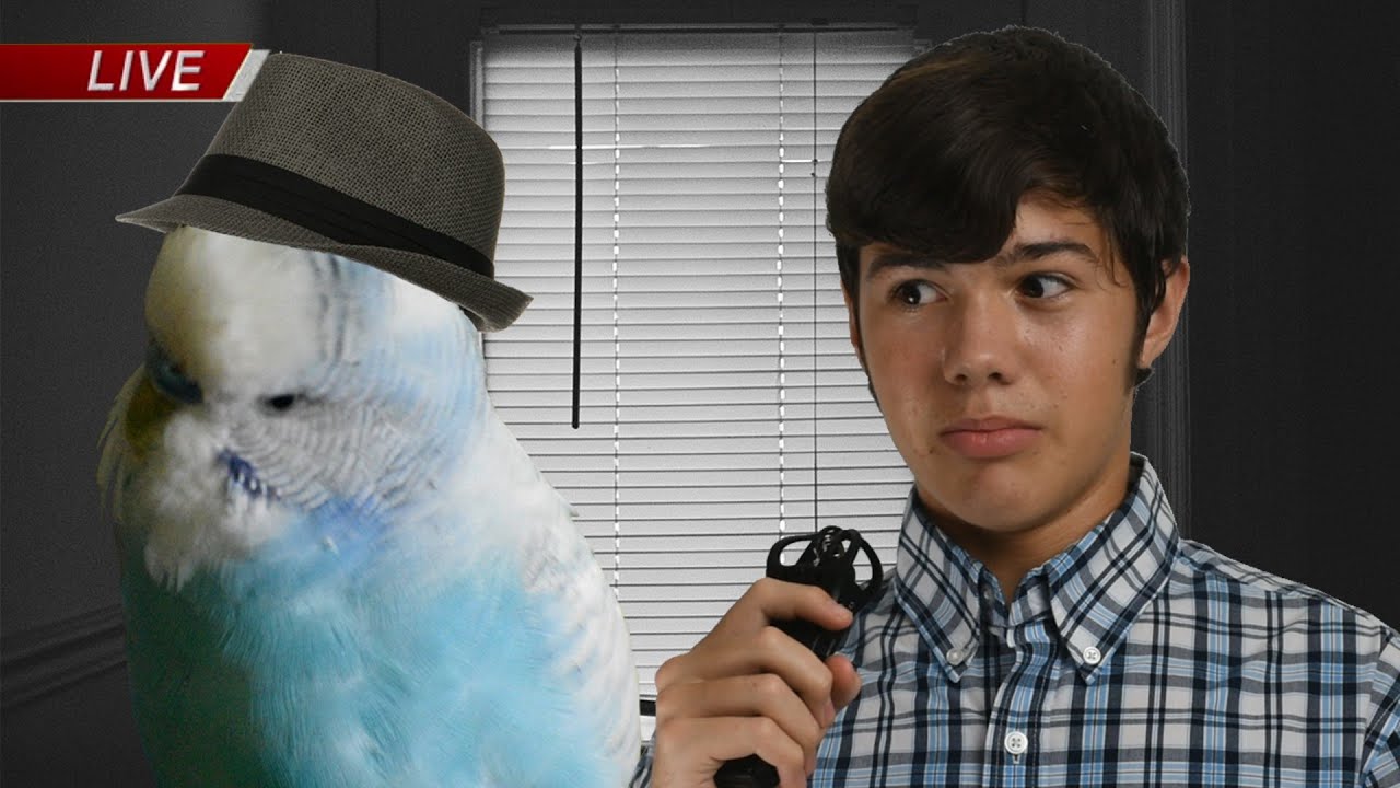 EXCLUSIVE: Bird Mafia Crime BOSS Interview - YouTube