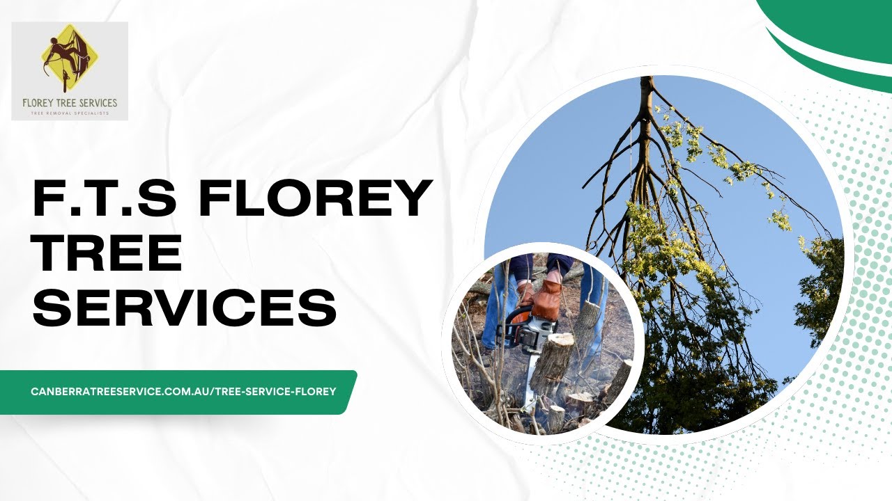 F T S Florey Tree Services - Tree Removal Florey, Canberra, ACT | Local ...