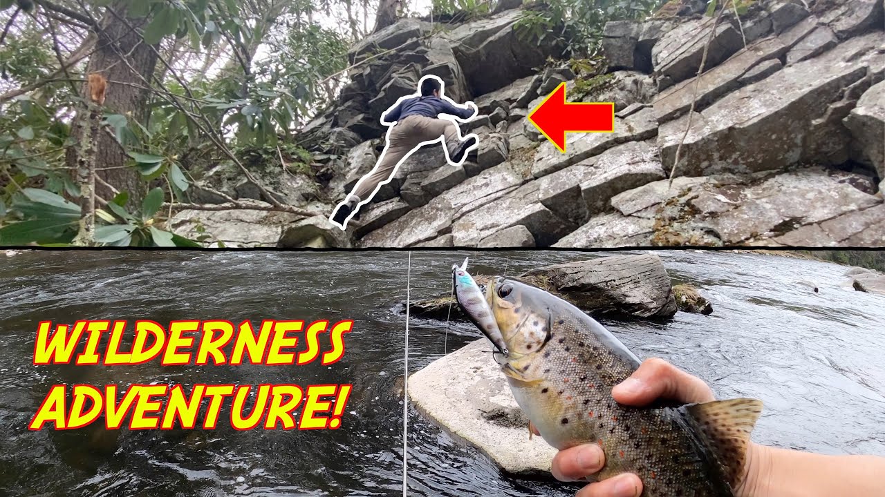 DEEP WILDERNESS ADVENTURE for WILD TROUT!!! (We Had to Climb a Cliff ...