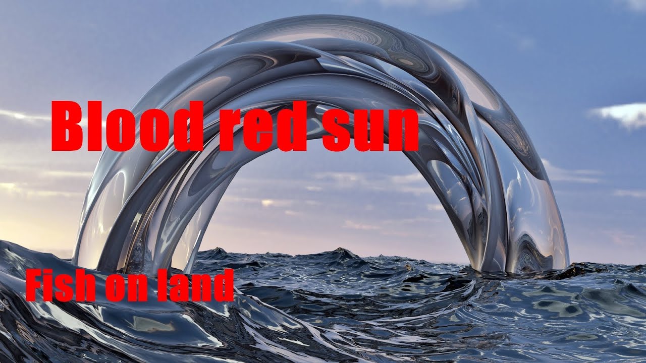 Blood red sun - Fish on land - Fresh music mix every Saturday - YouTube