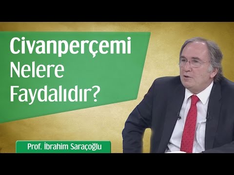 Civanperçemi Nelere Faydalıdır? | Prof. İbrahim Saraçoğlu