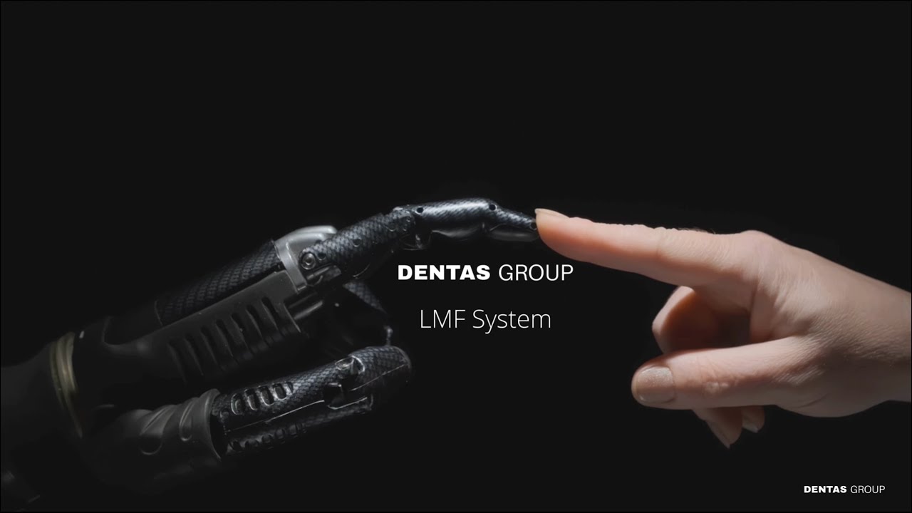 LMF System - YouTube