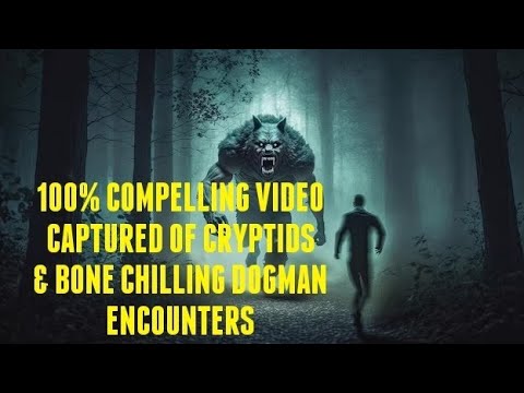 #DOGMAN, 100% COMPELLING VIDEO CAPTURED OF CRYPTIDS & BONE CHILLING ...