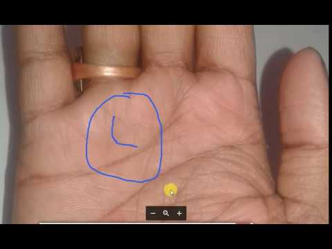 Wowww Fish on Sun Mount like Jennifer Lopez - YouTube