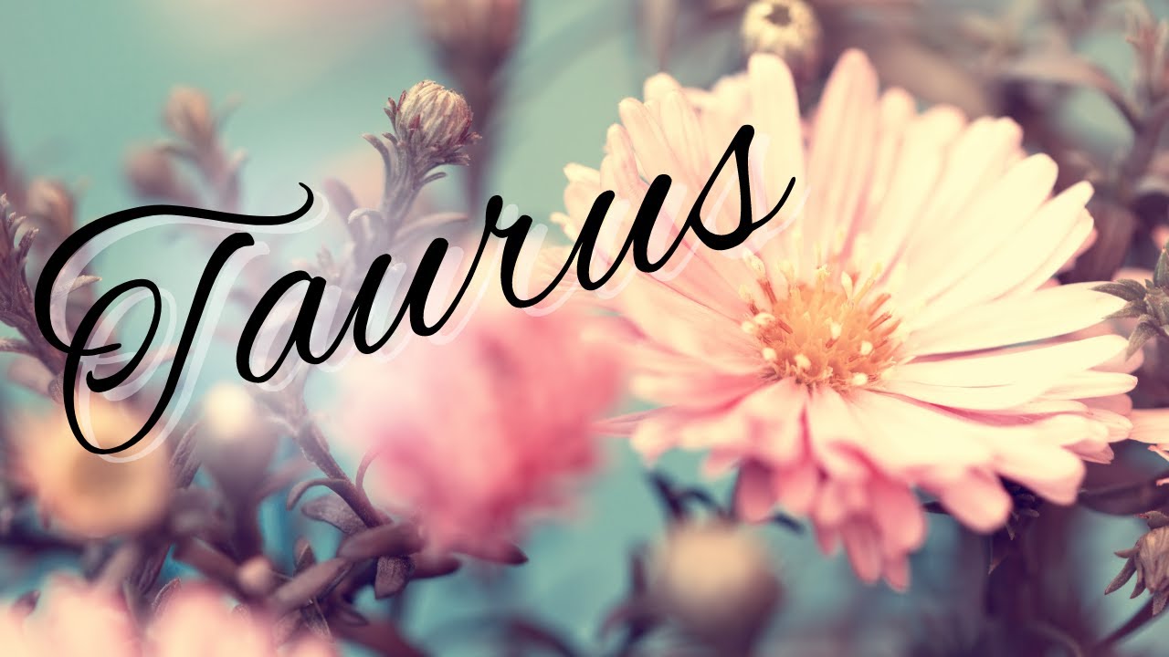 Taurus Singles🩷A Dream Come True! This Is Karmic Justice My Dear Taurus ...