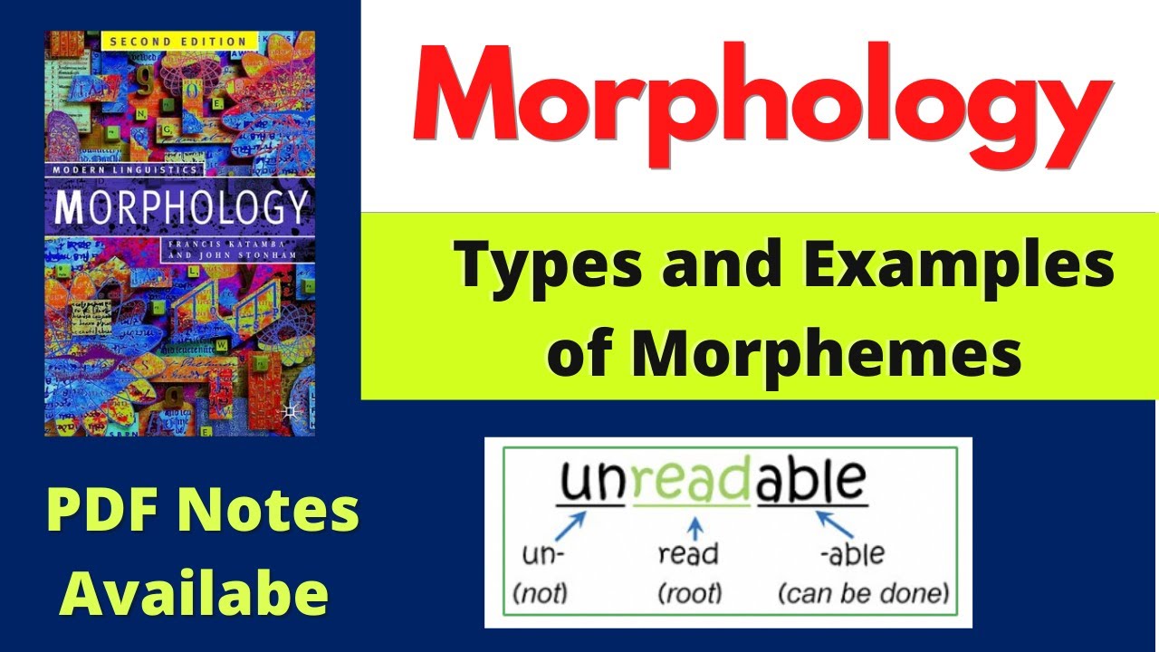 What Is Morphology What Are Morphemes Types Of Morphemes Examples What Is Morphology What Are Morphemes Types Of Morphemes Examples
