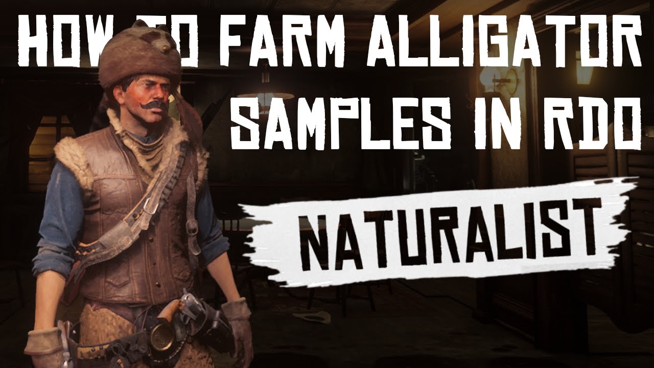 How to farm Alligator Samples - Naturalist - RDO - YouTube