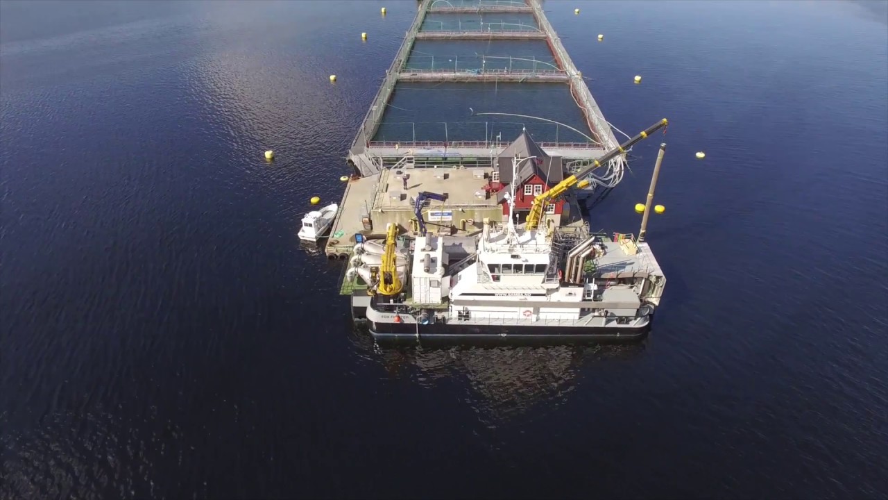 Damen Multi Cat 2712’s at work in Norwegian Aquaculture - YouTube