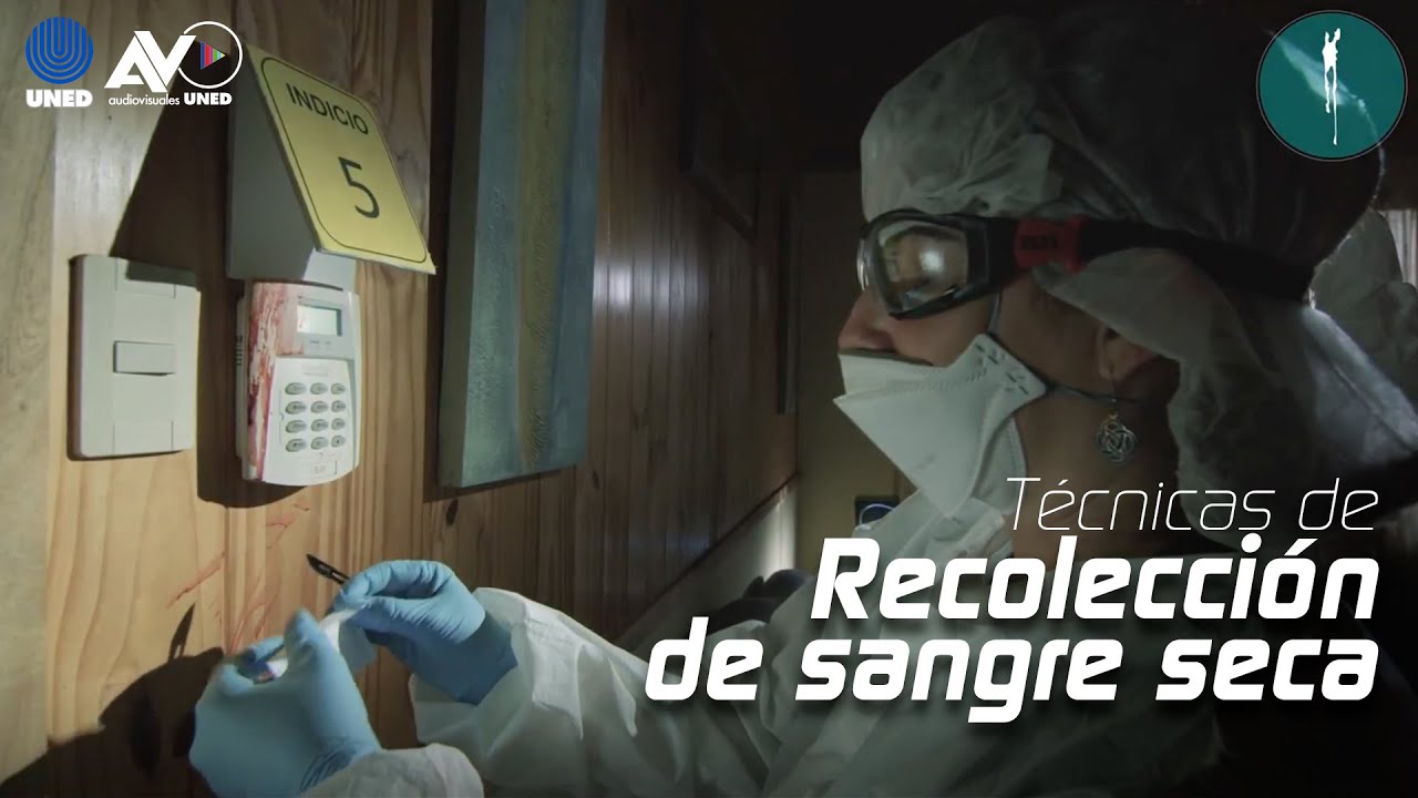 Técnica de Recolección de Sangre Seca - YouTube