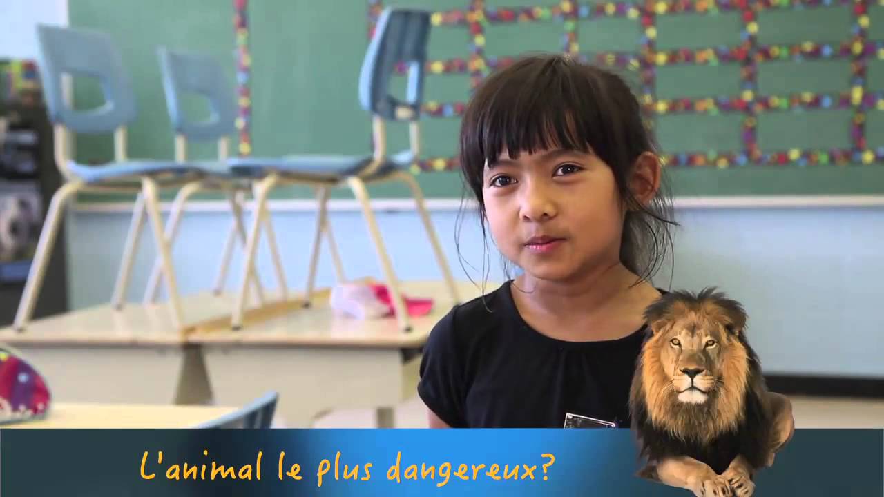 Yoopa | Quel est l'animal le plus dangereux? - YouTube