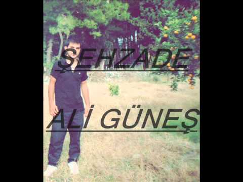 ŞEHZADE & SİNAN RAPÇİ - BİRGÜN GİDERSEN