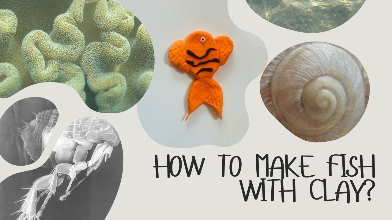 How to make fish with clay? || Clay Art - YouTube