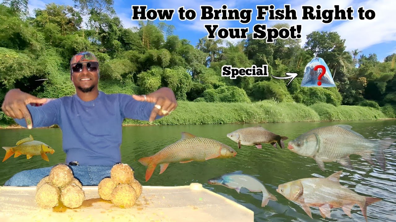 How to Attract More Fish: Proven Lure Techniques!c #fishing #silvercarp ...