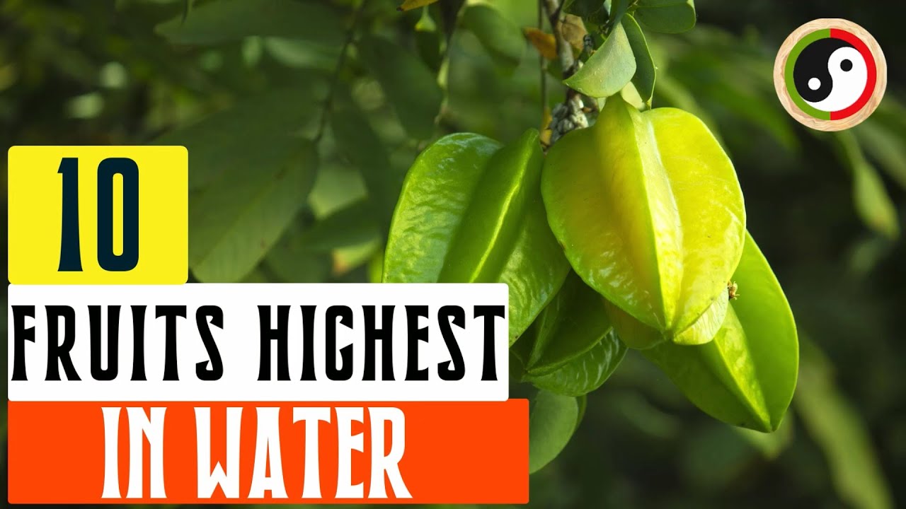 Top 10 Fruits Highest in Water | 2023 💧💧💧 - YouTube