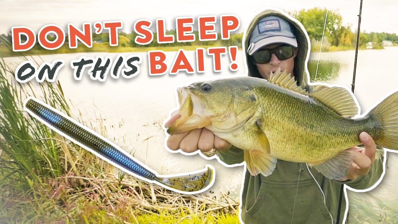 How To Fish A Swimming Worm with TylersReelFishing! | UNDERRATED ...