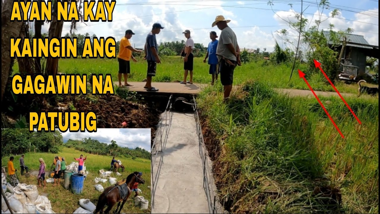 5 UPDATE SA PATUBIG - YouTube