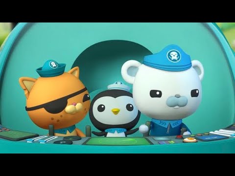 Octonauts Into (US Version) - YouTube