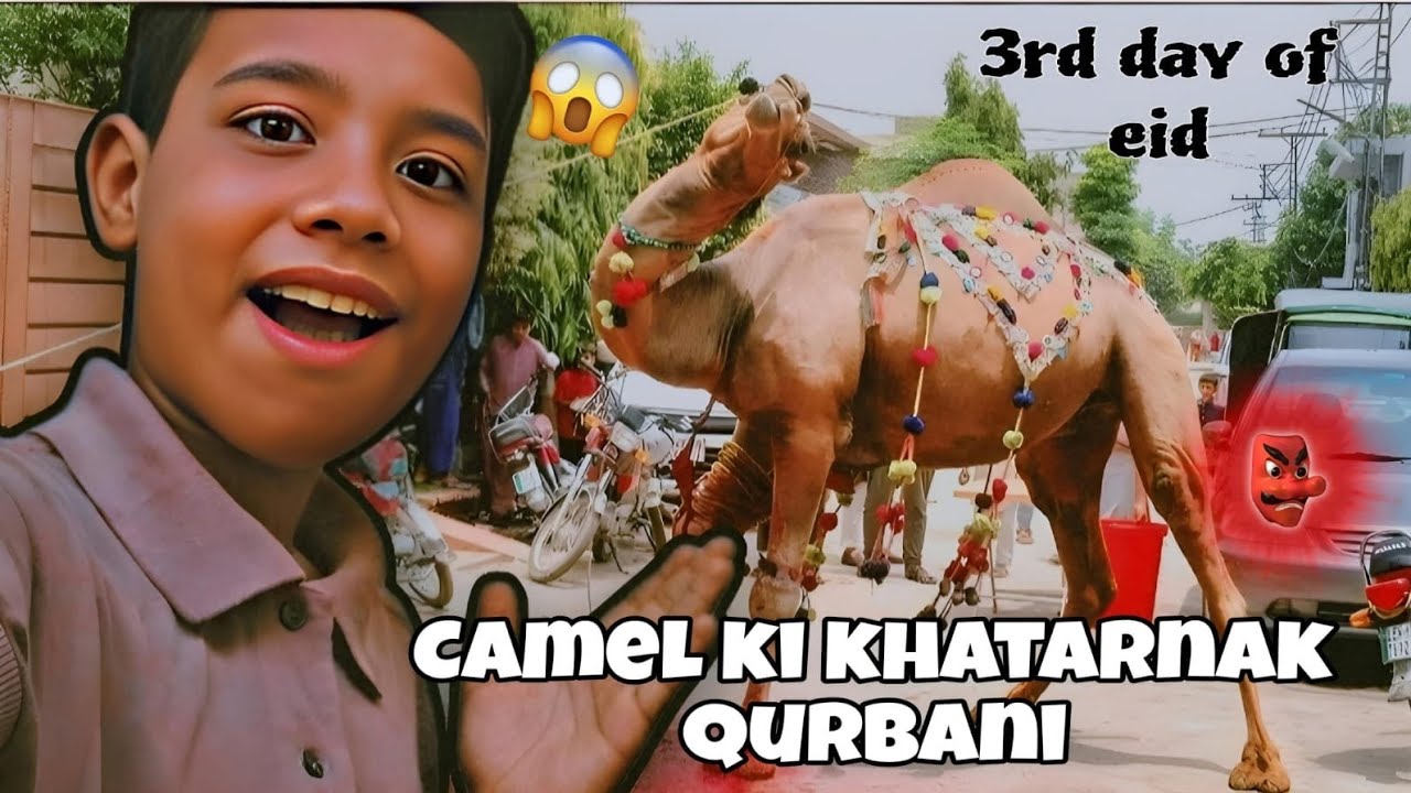 Eid 3rd day..CAMEL KI KATARNAK QURBANI - YouTube