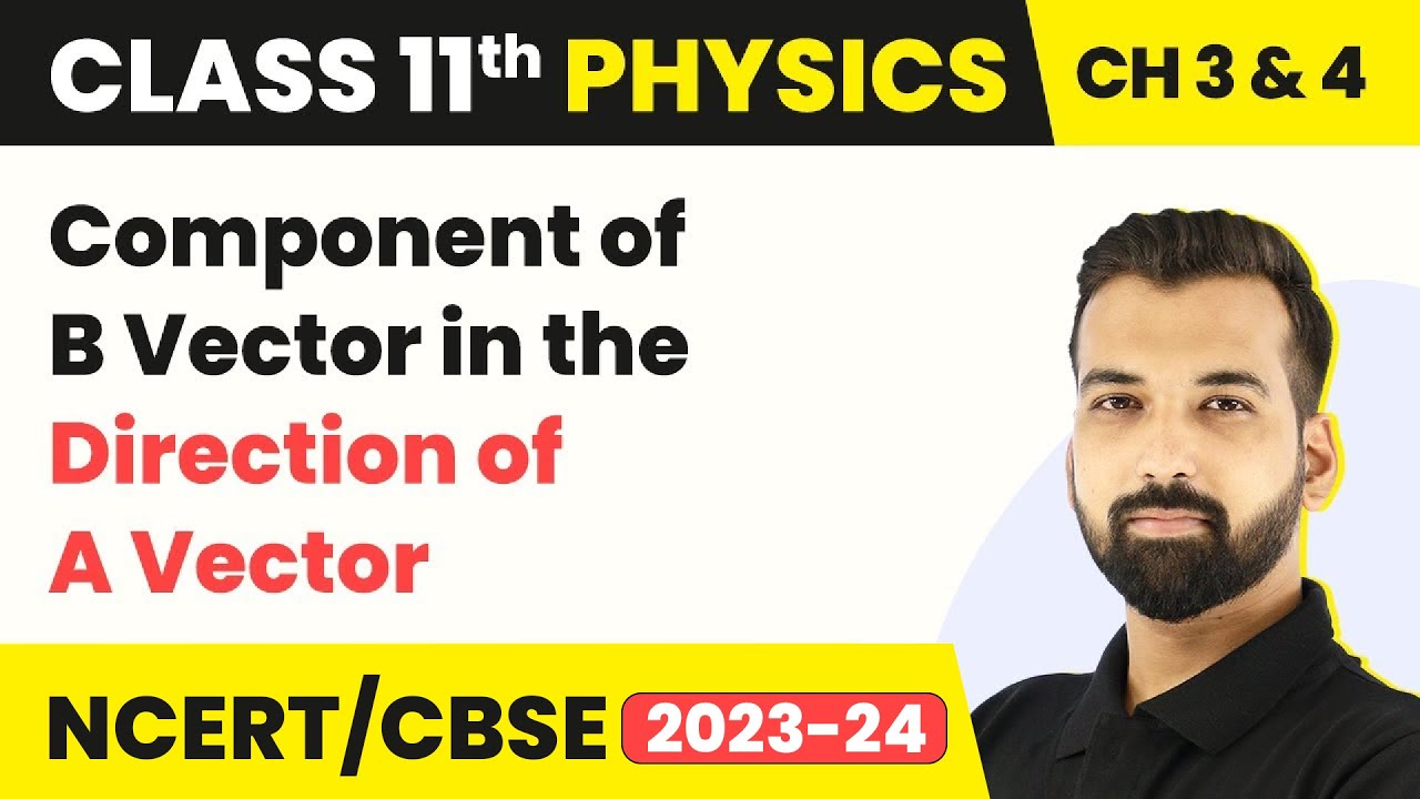 Component of B Vector in the Direction of A Vector - Vectors | Class 11 ...