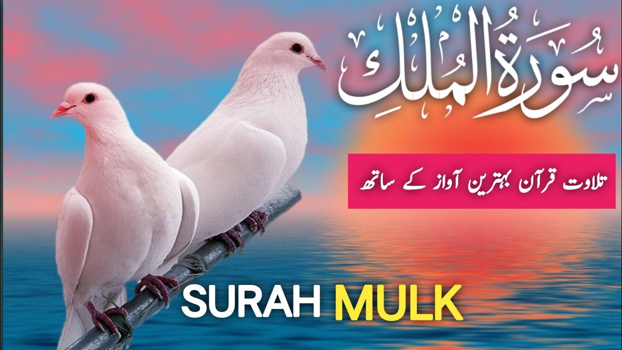 Surah Al Mulk Full Al MULK With Arabic Text HD beautiful recitation