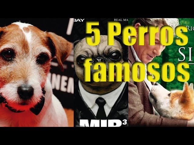 Perros Famosos En Peliculas Nombres De Perros Famosos Para Tu Cachorro