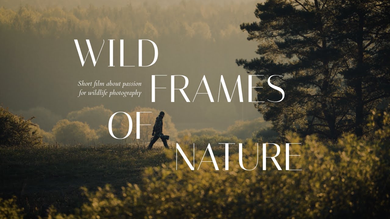 Wild frames of nature. - YouTube