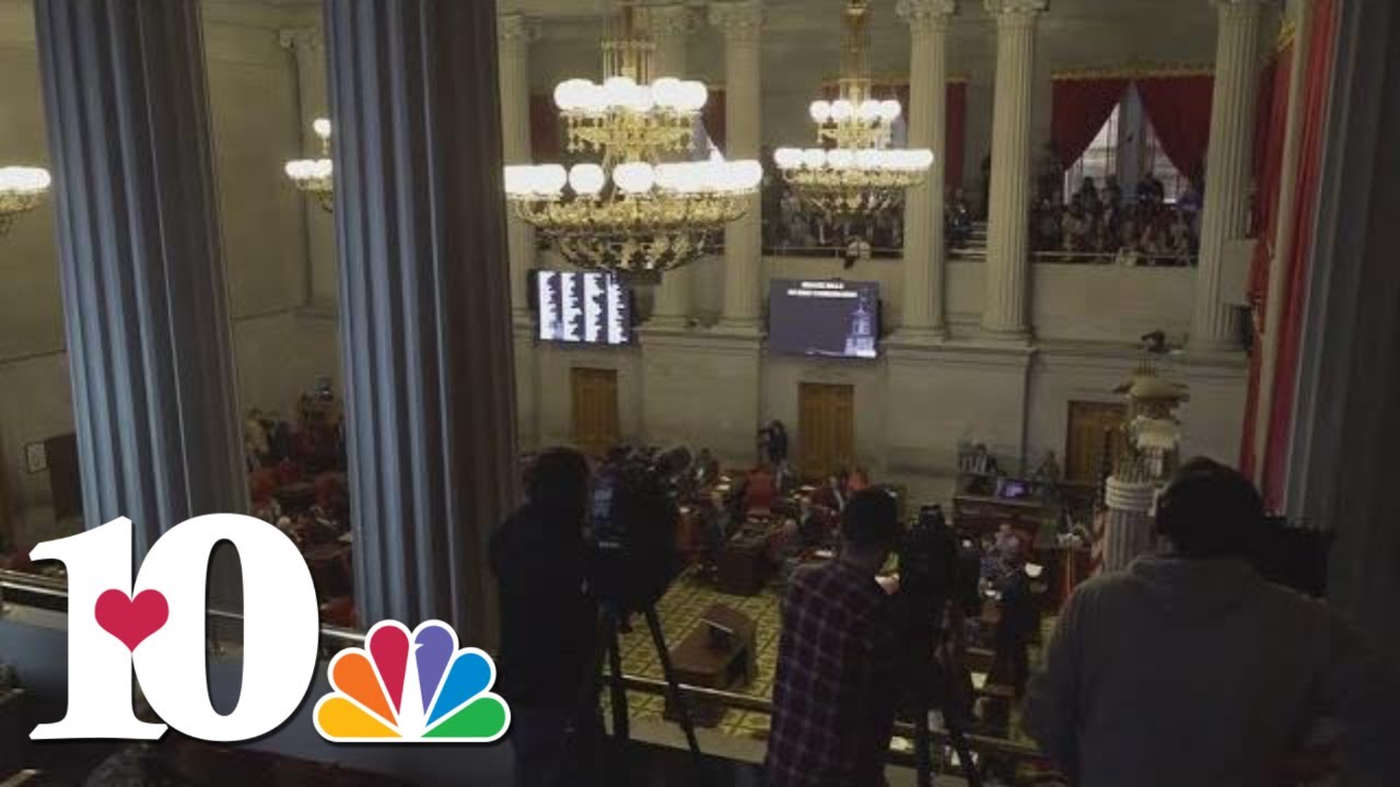 Tennessee General Assembly starts 2024 session - YouTube