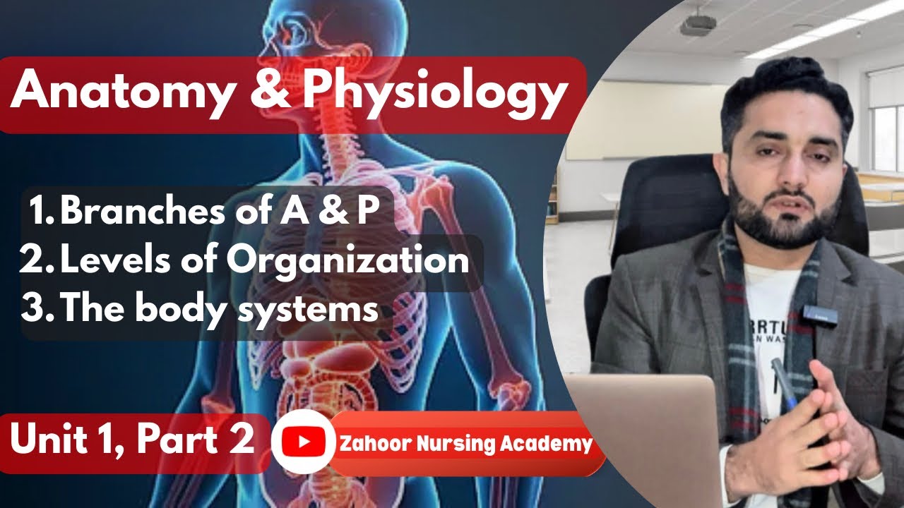Anatomy & Physiology {Branches, Levels of Organization, Body System ...
