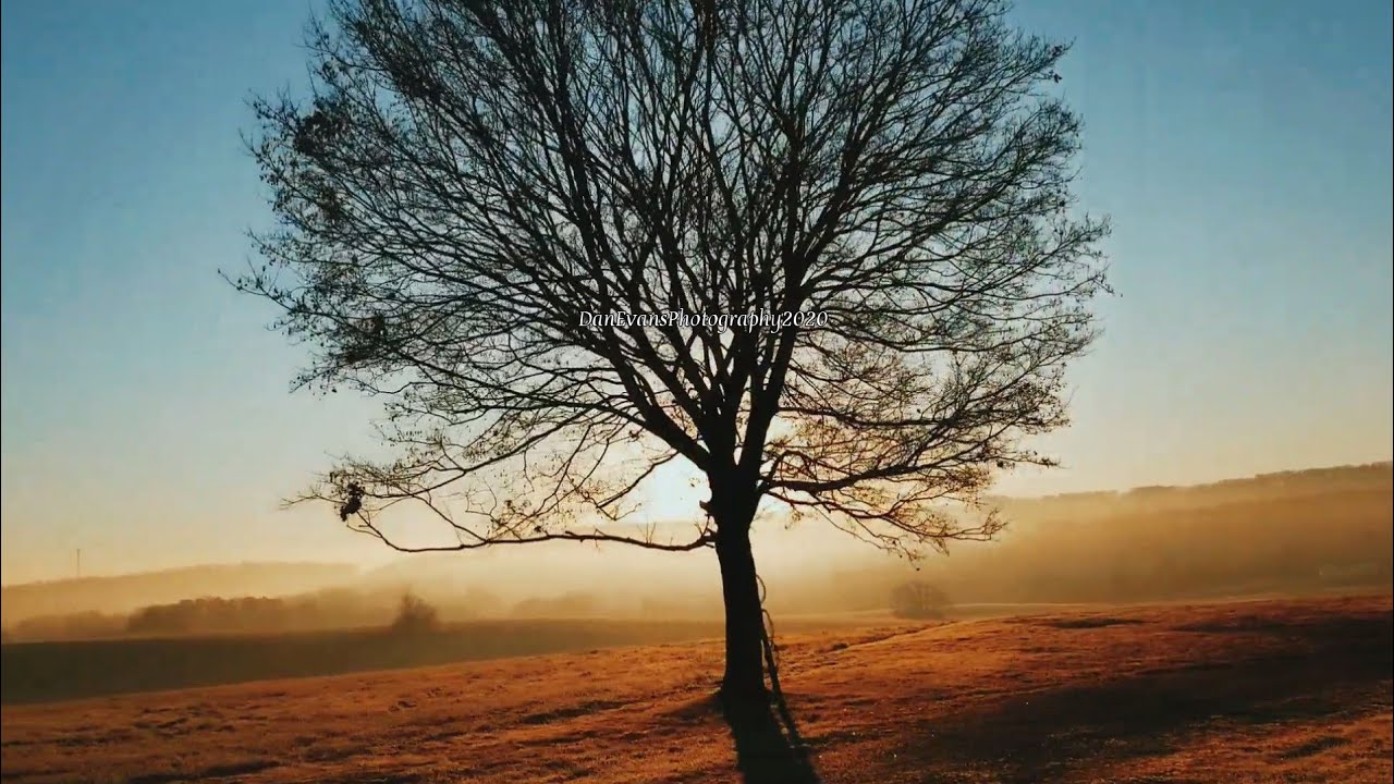 Our East Tennessee Morning! - YouTube