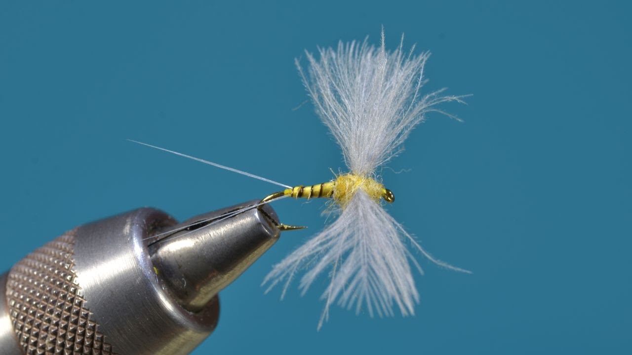 Yellow PMD Spinner Dry Fly with Eric Austin - YouTube