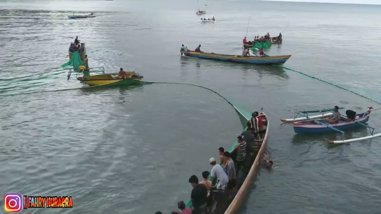Proses Penangkapan Ikan Nike oleh Nelayan Gorontalo - YouTube