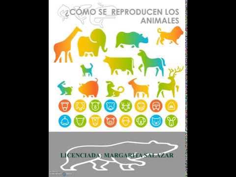 ¿CÓMO SE REPRODUCEN LOS ANIMALES? - YouTube