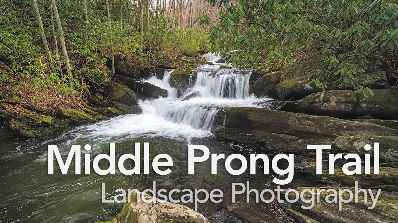 Middle Prong Trail: Smoky Mountain Photography - YouTube