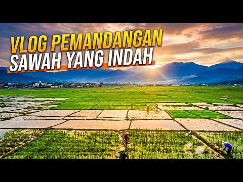 Top Hits Spotify Indonesia 2026 | Top Spotify Indonesia 2026 | Lagu Hits Spotify 2026 | Lagu Terbaru