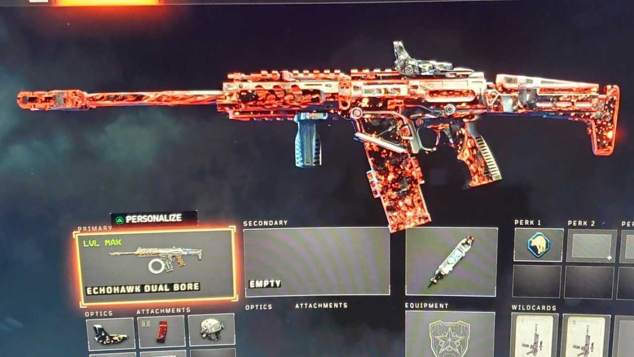 Call of Duty Black Ops 4 Echohawk Dual Bore Good? 🤔 - YouTube