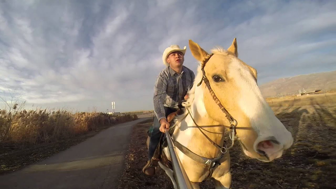 Let's Go Riding! - YouTube