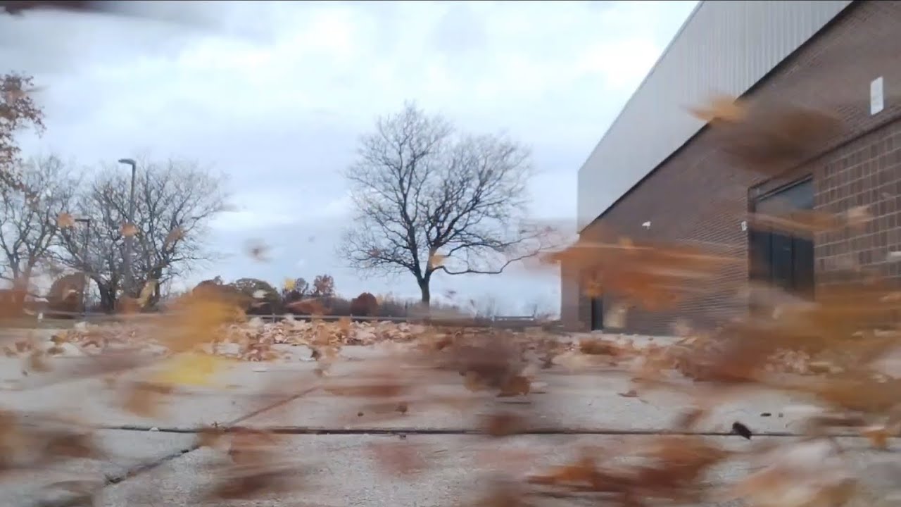 violent leaf tornado - YouTube