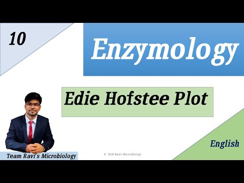 Eadie Hofstee plot | Enzyme Kinetics - YouTube