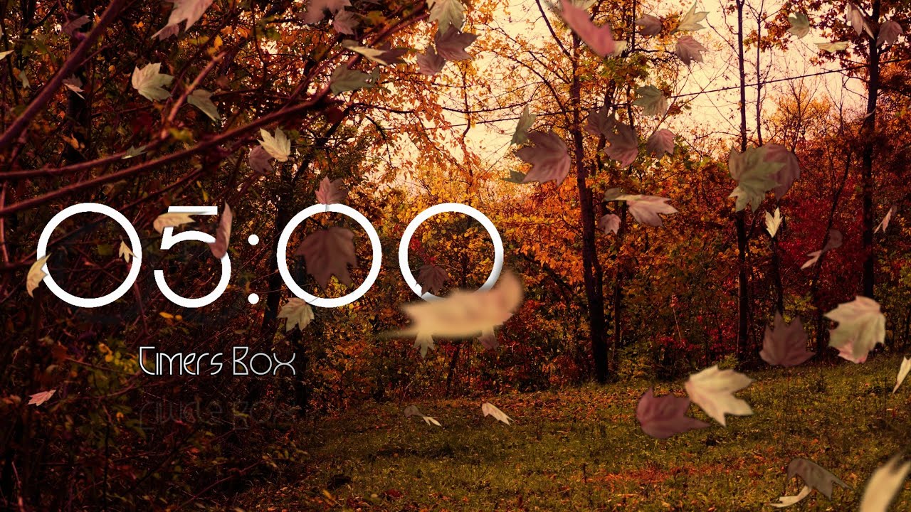 5 Minute Autumn Fall Timer, No Music, No Alarm ⏳🍂 - YouTube
