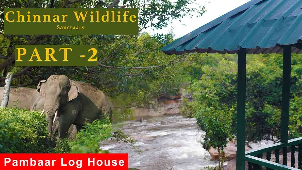 Pambaar Log House – Chinnar Wildlife Sanctuary | Idukki | Part - 2 ...