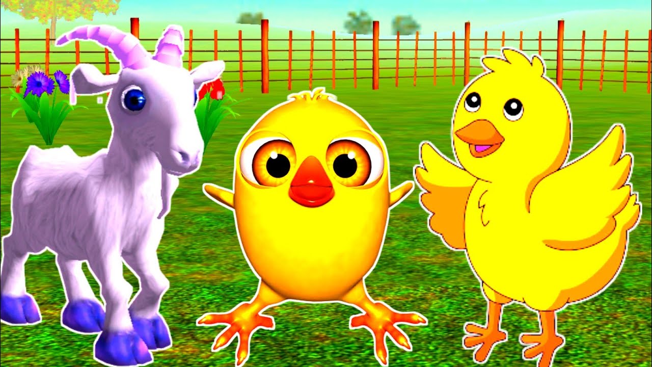 El pollito pia 3D animal game-Cancoines de la Granja de Zenon Pollito ...