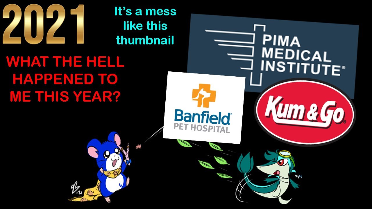 2021 An Intense Year! Pima Medical Institute Story! Did I Pass? - YouTube