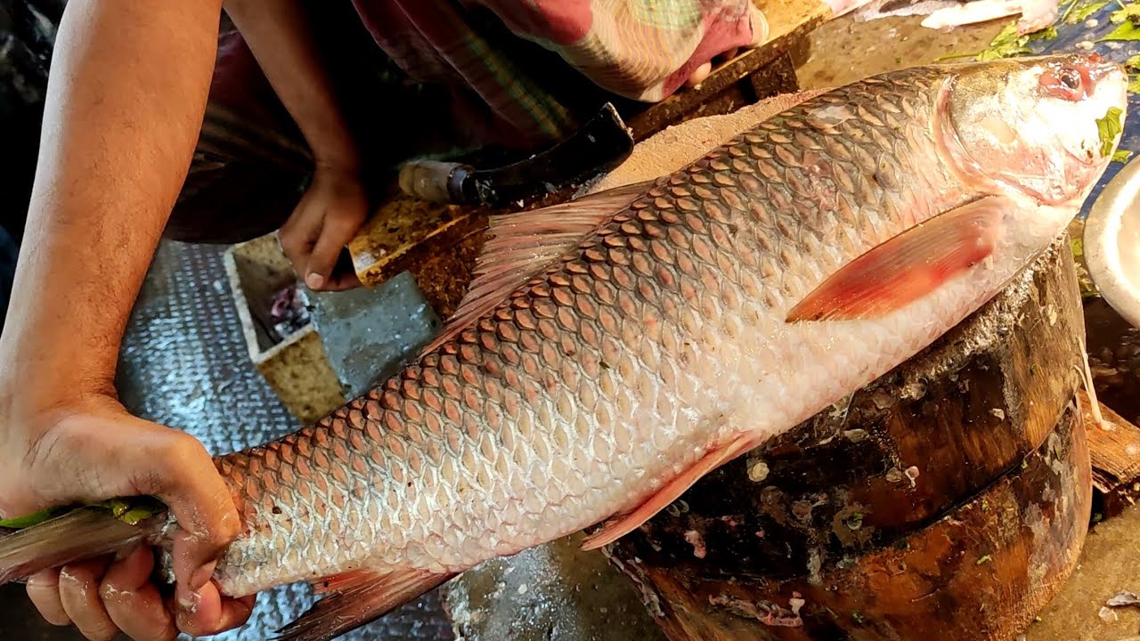 Big Rohu Fish Skinning And Chopping By A Expert Fish Cutter 2023 - YouTube